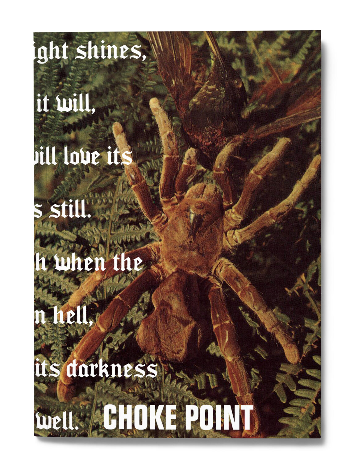 Choke Point Zine – SFAUSTINA